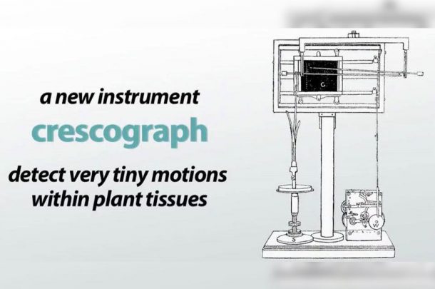 জগদীশ চন্দ্র বসু: উপমহাদেশে বিজ্ঞান গবেষণার জনক